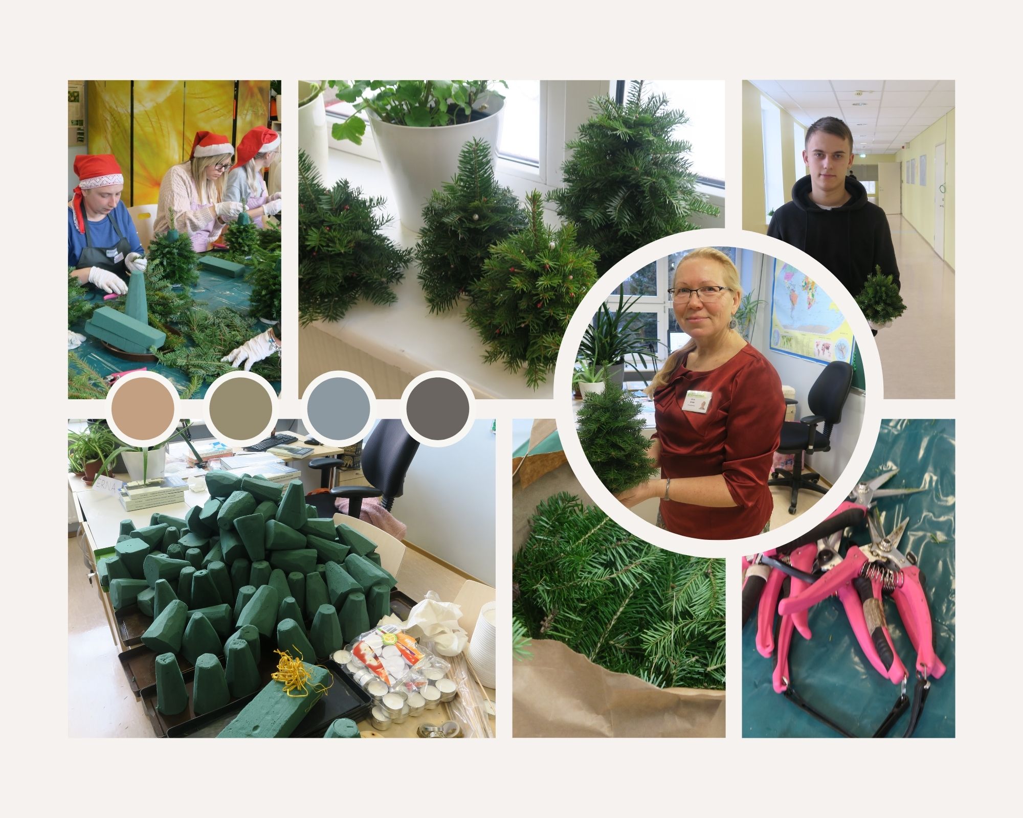 Disain kuusekesed loovad pühade meeleolu